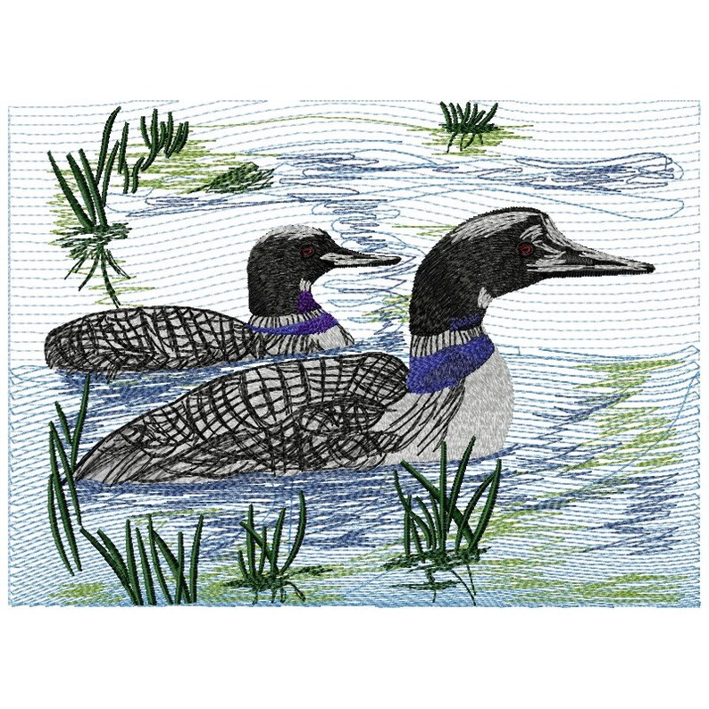 The Loon's Family Realistic Machine Embroidery Design in 2 Sizes - Etsy