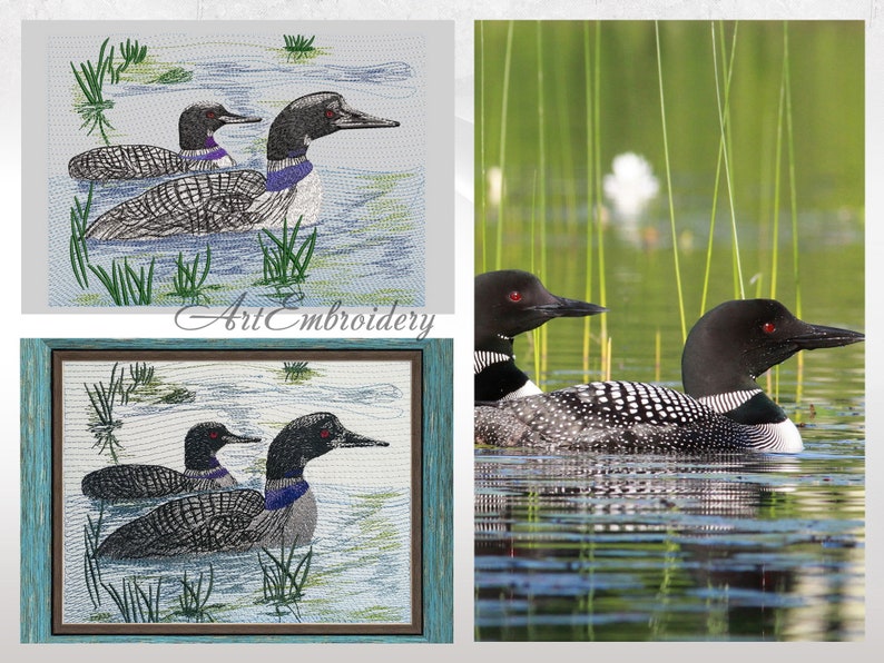 The Loon's Family Realistic Machine Embroidery Design in 2 - Etsy