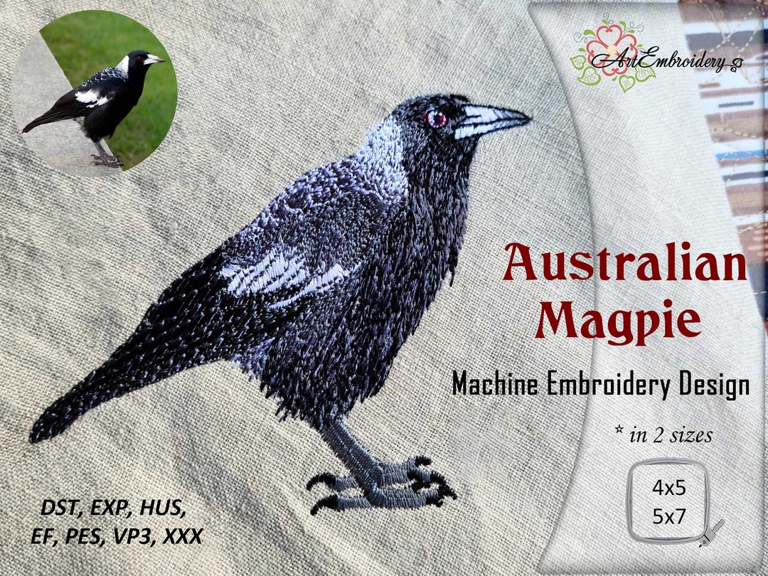 Australian Magpie Machine Embroidery Design: Realistic Bird (4x5" & 5x7 ...