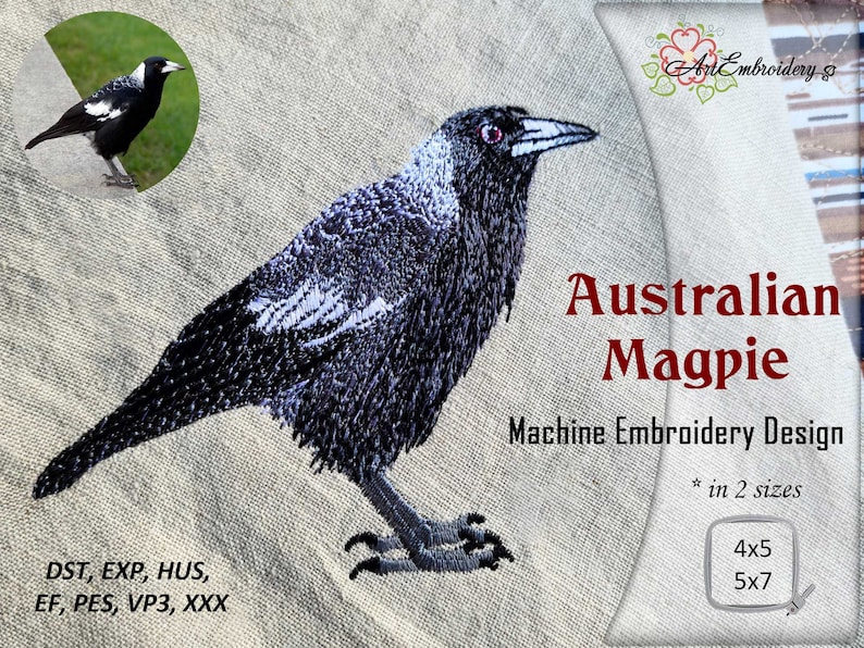 Australian Magpie Machine Embroidery Design: Realistic Bird (4x5" & 5x7 ...