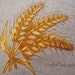 Ears of Barley Machine Embroidery Designs: Redwork & Filled (6x8", 8x8 ...