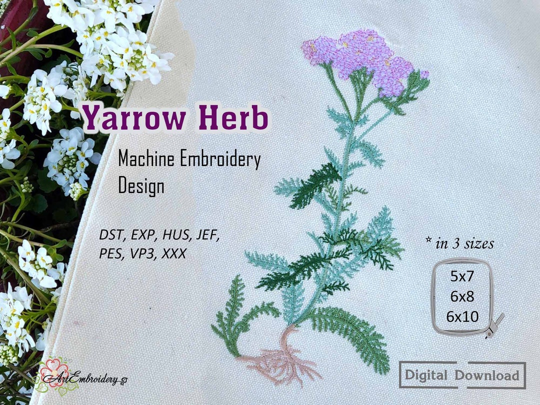 Yarrow Herb - Botanical Machine Embroidery Design in 3 Sizes for Hoop ...