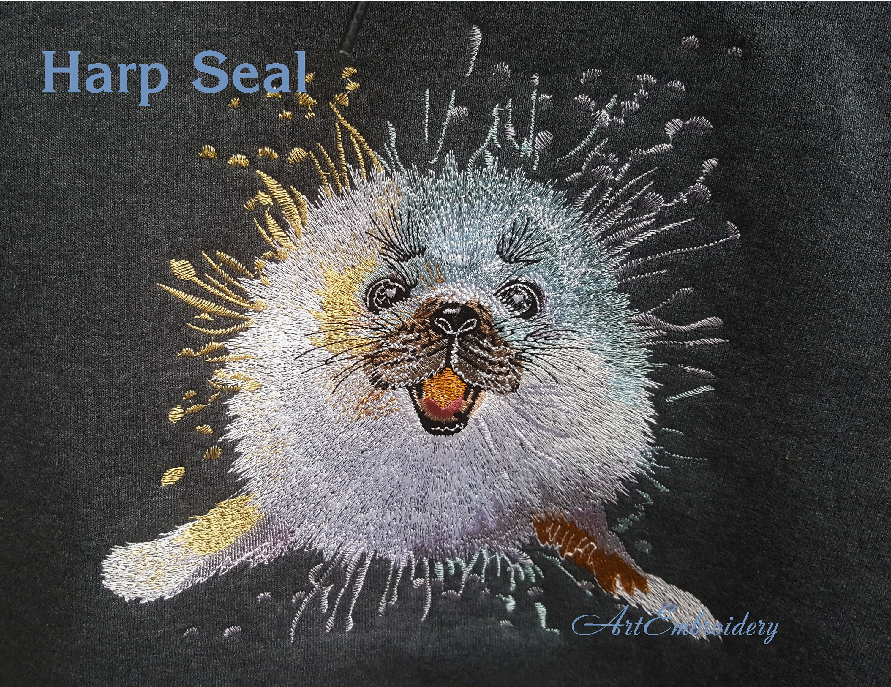 Harp Seal Saddleback Seal Arctic Ocean Baby Animal | Etsy