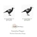 Australian Magpie - Machine Embroidery Realistic Bird Design in 2 Sizes ...