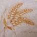 Ears of Barley Machine Embroidery Designs: Redwork & Filled (6x8", 8x8 ...