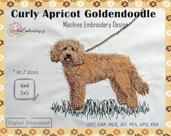 Labradoodle Machine Embroidery Design-4 Sizes - Etsy