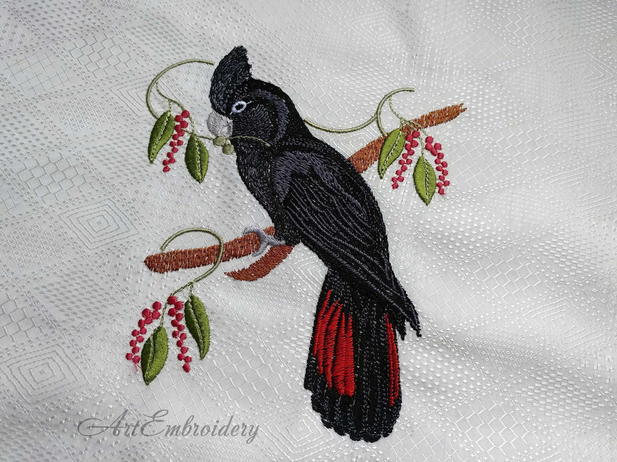 Red-tailed Black Cockatoo Machine Embroidery Design (4x4 and 6x6 ...