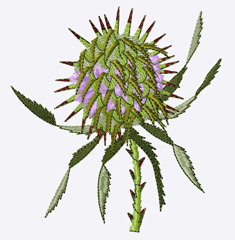 Thistle 2 Realistic Flower Machine Embroidery Design in Four | Etsy