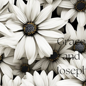 Daisy Digital Paper Seamless Daisy Flower Textures Instant Digital ...