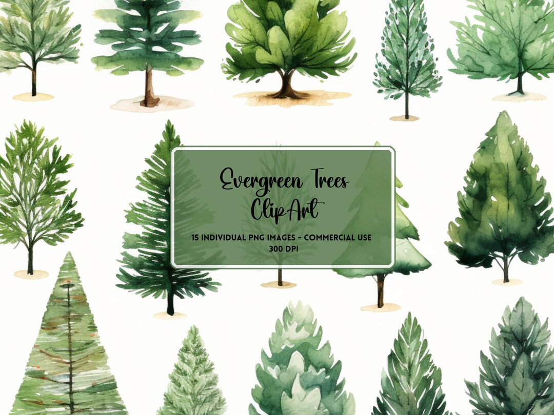 Tree Clipart Christmas Tree Clipart Watercolor Christmas Tree Clipart ...