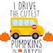 School Bus Driver Halloween PNG, Cutest Pumpkins in the Patch Png, I ...