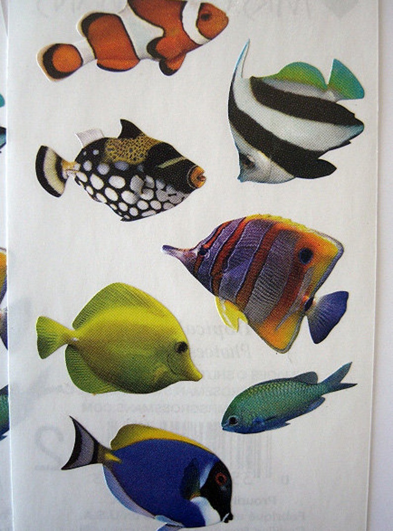 Fish Stickers Tropical Fish / Lot of 2 Full FISH Design - Etsy