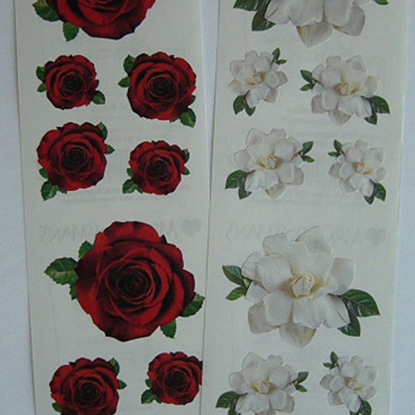 Gardenia - Etsy