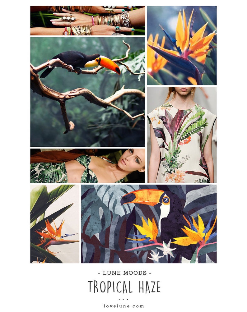 3 FOR 2. Tropical Clipart. Flowers Toucan Bird of Paradise - Etsy