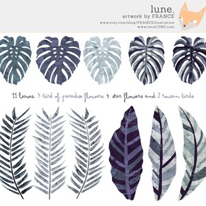 3 FOR 2. Tropical Clipart. Flowers, Toucan, Bird of Paradise, Jungle ...