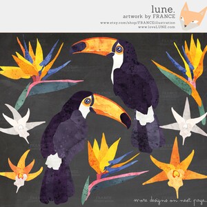 3 FOR 2. Tropical Clipart. Flowers, Toucan, Bird of Paradise, Jungle ...