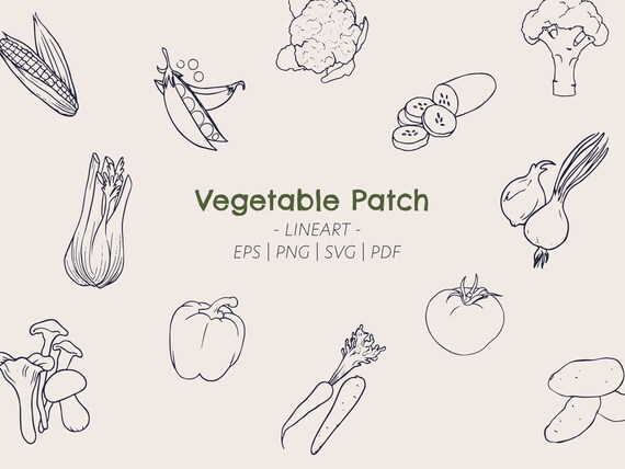 Vegetable Svg Bundle Food Clipart Minimalistic Food Svg - Etsy