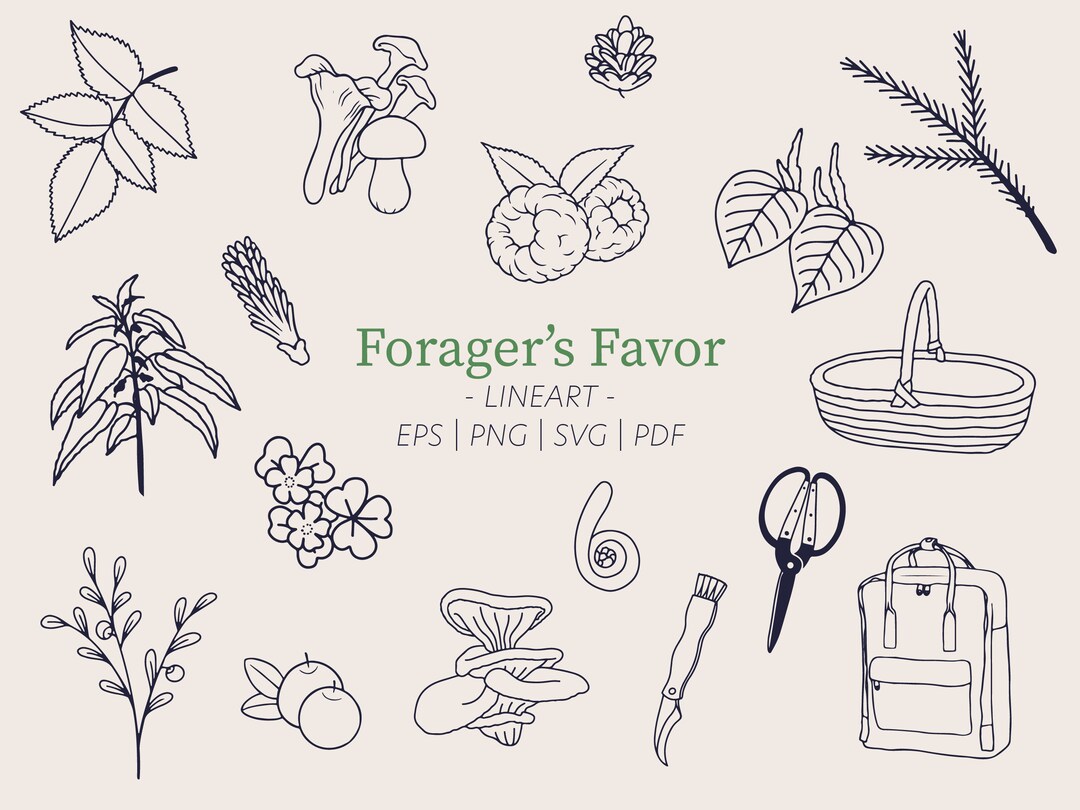 Foraging Svg Bundle / Wild Plants and Flowers Clipart / Forest - Etsy