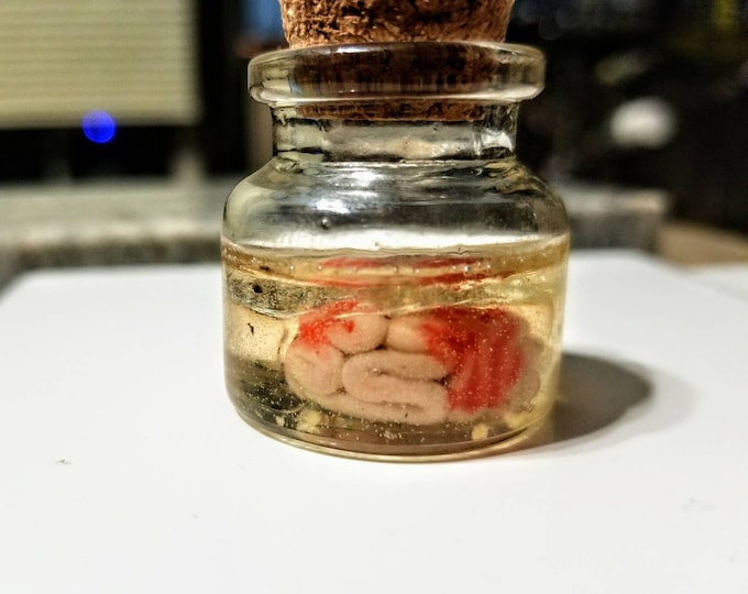 Gory Brain in a Jar Glows in the Dark - Etsy