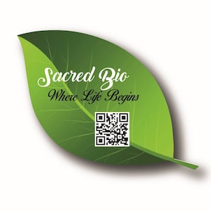 Leaf Business Cards With QR Code, Leaf Shaped Business Cards, Die Cut ...