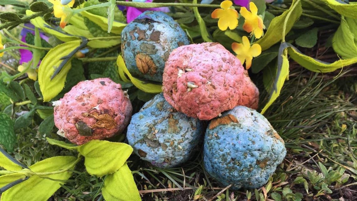 Multi Colored Seed Bombs/ Wildflowers/ Flowers/ Spring/ Kid Friendly ...