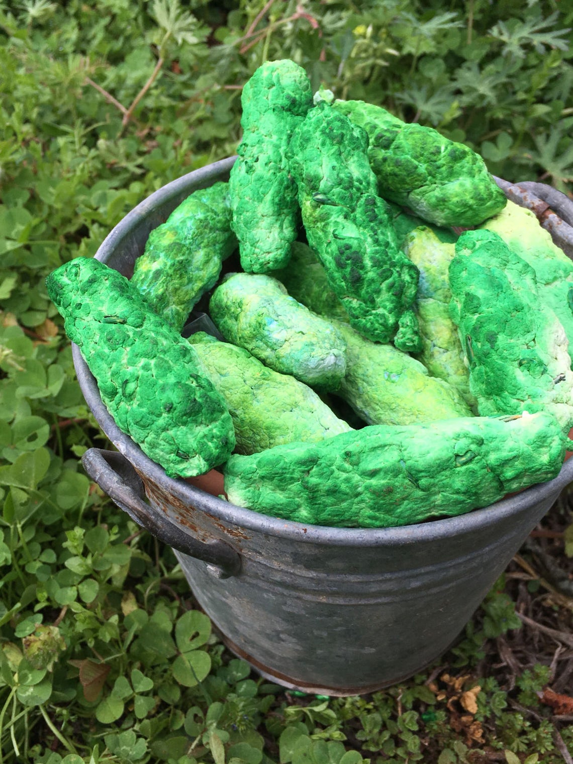 Veggie seed bombs/ sqaush/ cucumbers/ tomatoes/ garden/ | Etsy