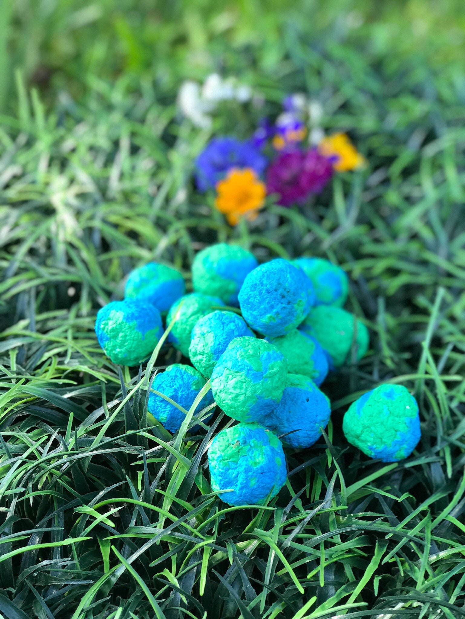 Wildflower Globe Seed Bombs. World Seed Bombs. Earth Day. Wildflower ...