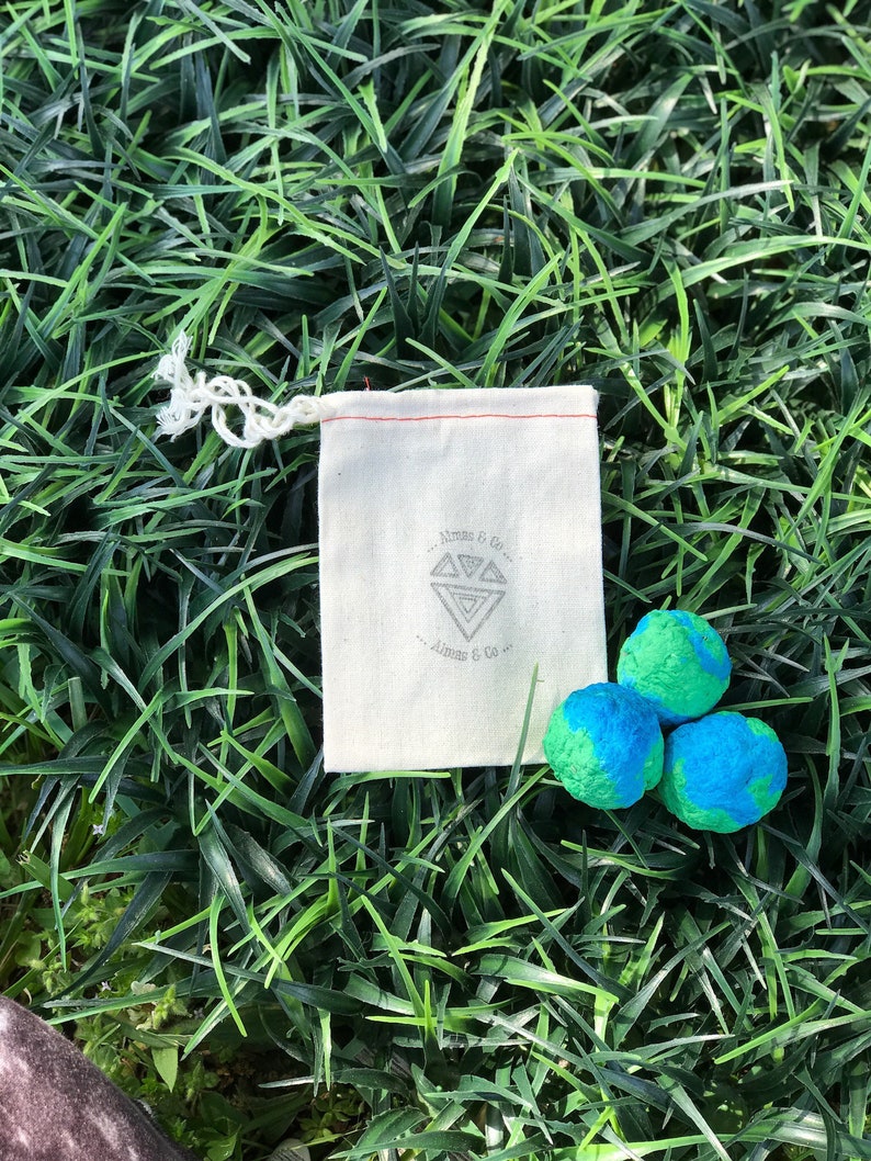 Wildflower Globe Seed Bombs. World Seed Bombs. Earth Day. Wildflower ...