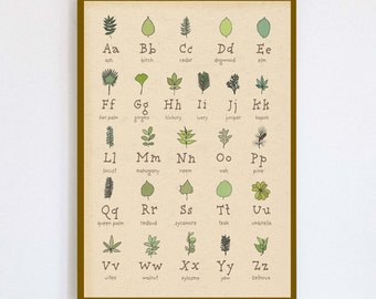 Mushroom Alphabet Poster, Mushroom Alphabet Print, Mushroom Nursery ...