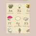 Mushroom Alphabet Poster, Mushroom Alphabet Print, Mushroom Nursery ...