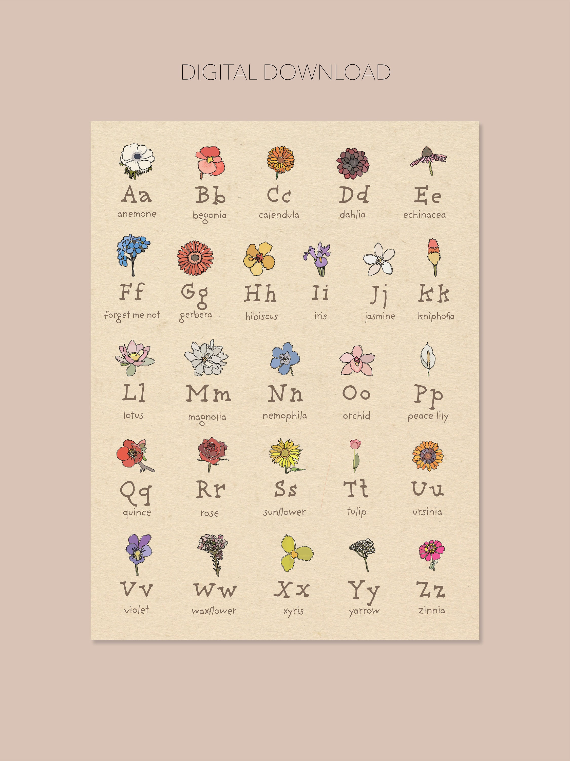 Flower Alphabet Poster, Flower Alphabet Print, Flower Nursery, Flower ...