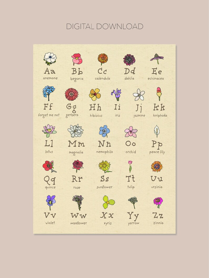 Flower Alphabet Poster Flower Alphabet Print Flower Nursery - Etsy