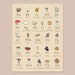 Mushroom Alphabet Poster Mushroom Alphabet Print Mushroom - Etsy