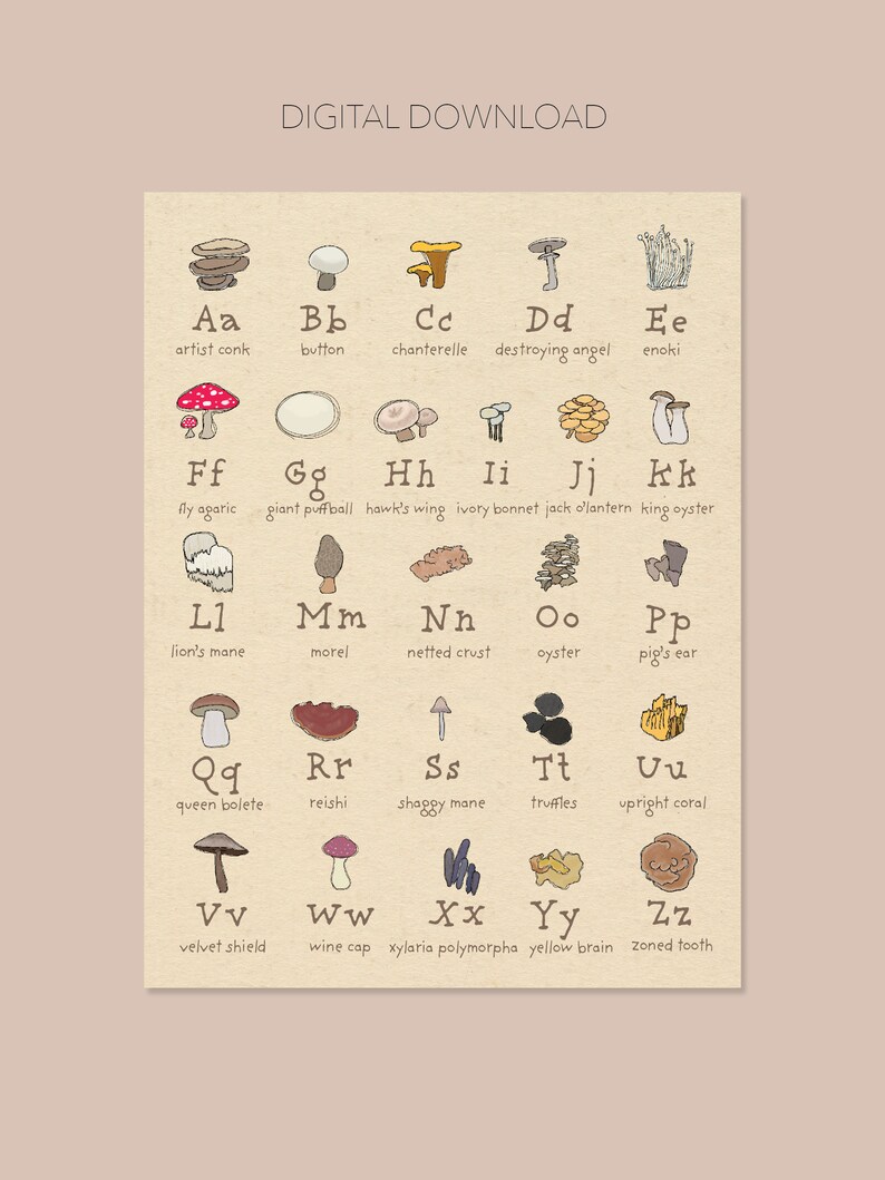 Mushroom Alphabet Poster Mushroom Alphabet Print Mushroom - Etsy