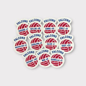 Personalized Volleyball Magnet for Locker or Sticker | Volleyball Team ...