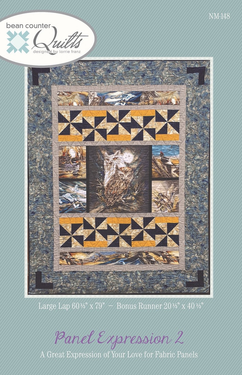 Panel Expression 2 Quilt Pattern - Lorrie Franz of Bean Counter Quilts ...