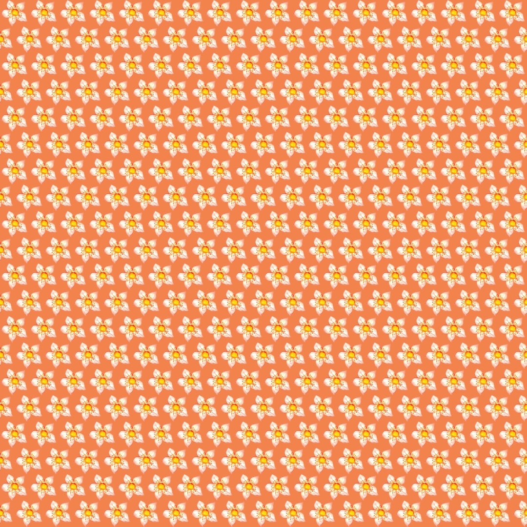 Finch & Fern Orange Blossom Box Step, Emma Lea Creative for RB Studios ...