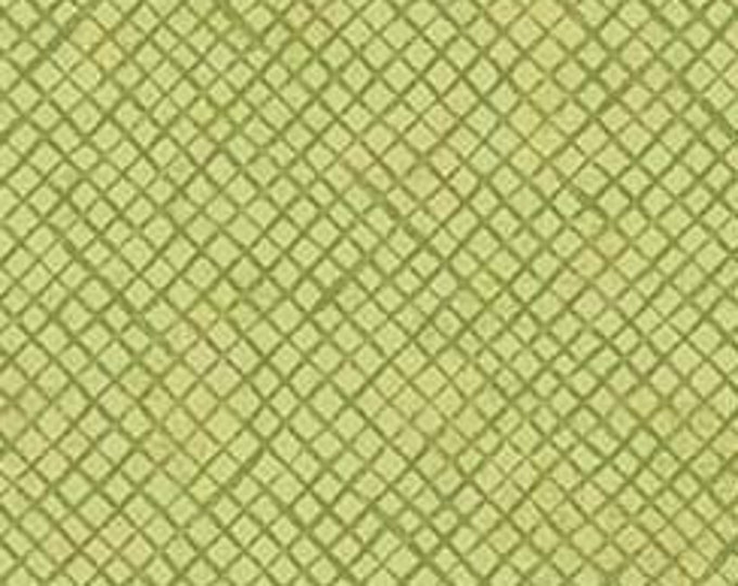 33" REMNANT Pumpkin Farm Green Check, Michael Miller Fabrics, CX9681 ...