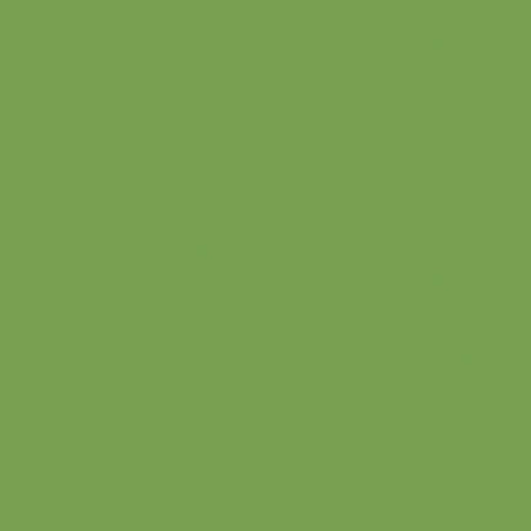 Confetti Cotton in Clover - Solid Green Fabric - C120-CLOVER - 100% ...
