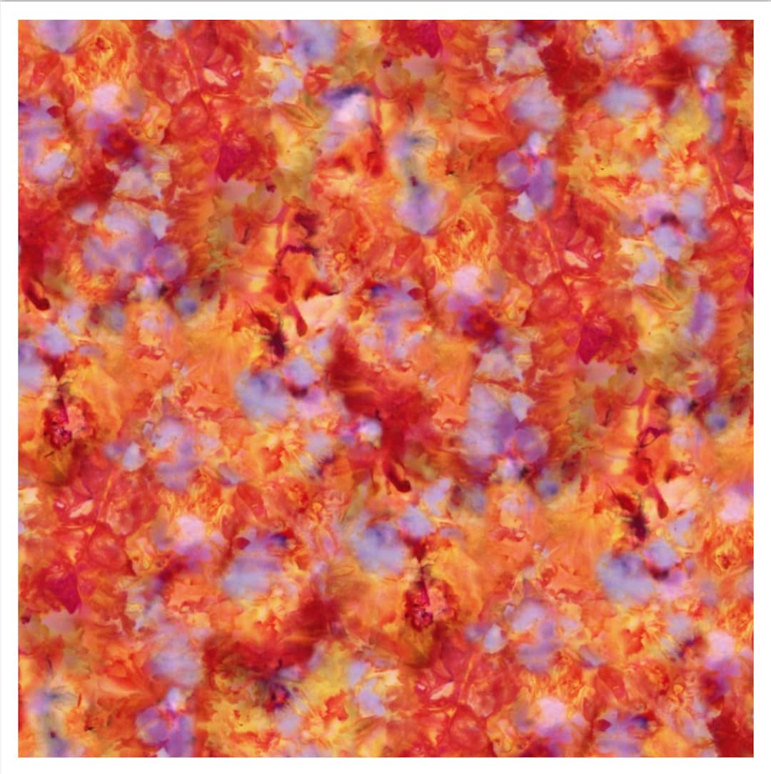 Fire & Ice Orange Ice Dye by Maywood Studio D10060-O 100% Quilting ...