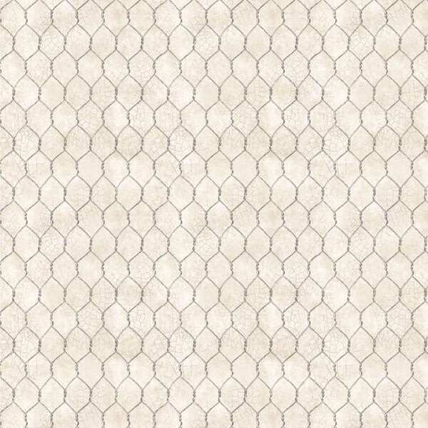 Chicken Wire Frame - Etsy