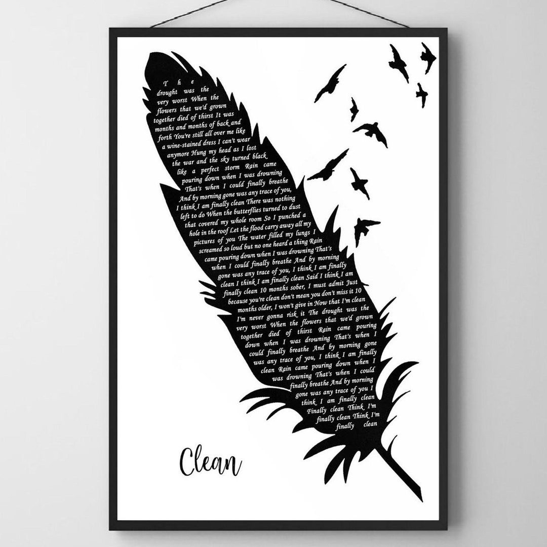 Taylor Swift Clean Black & White Feather and Birds Song Lyric Print ...