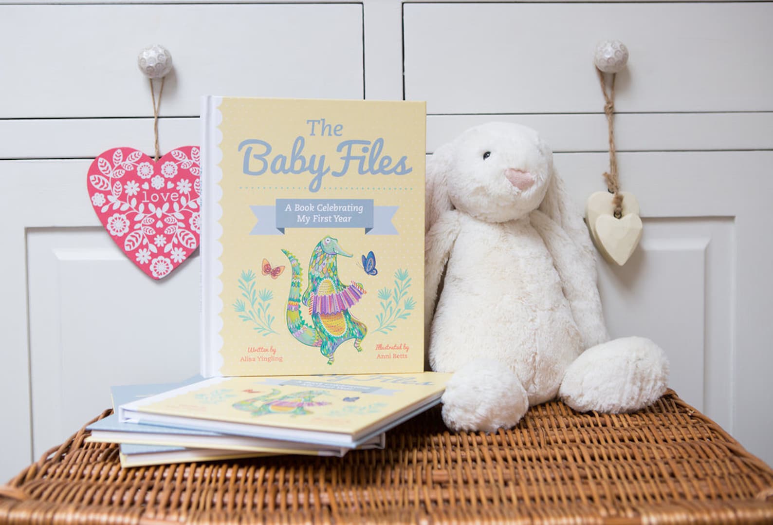 The Baby Files, Baby Memory Book, Mummy to Be, Daddy to Be, LGBT Family ...
