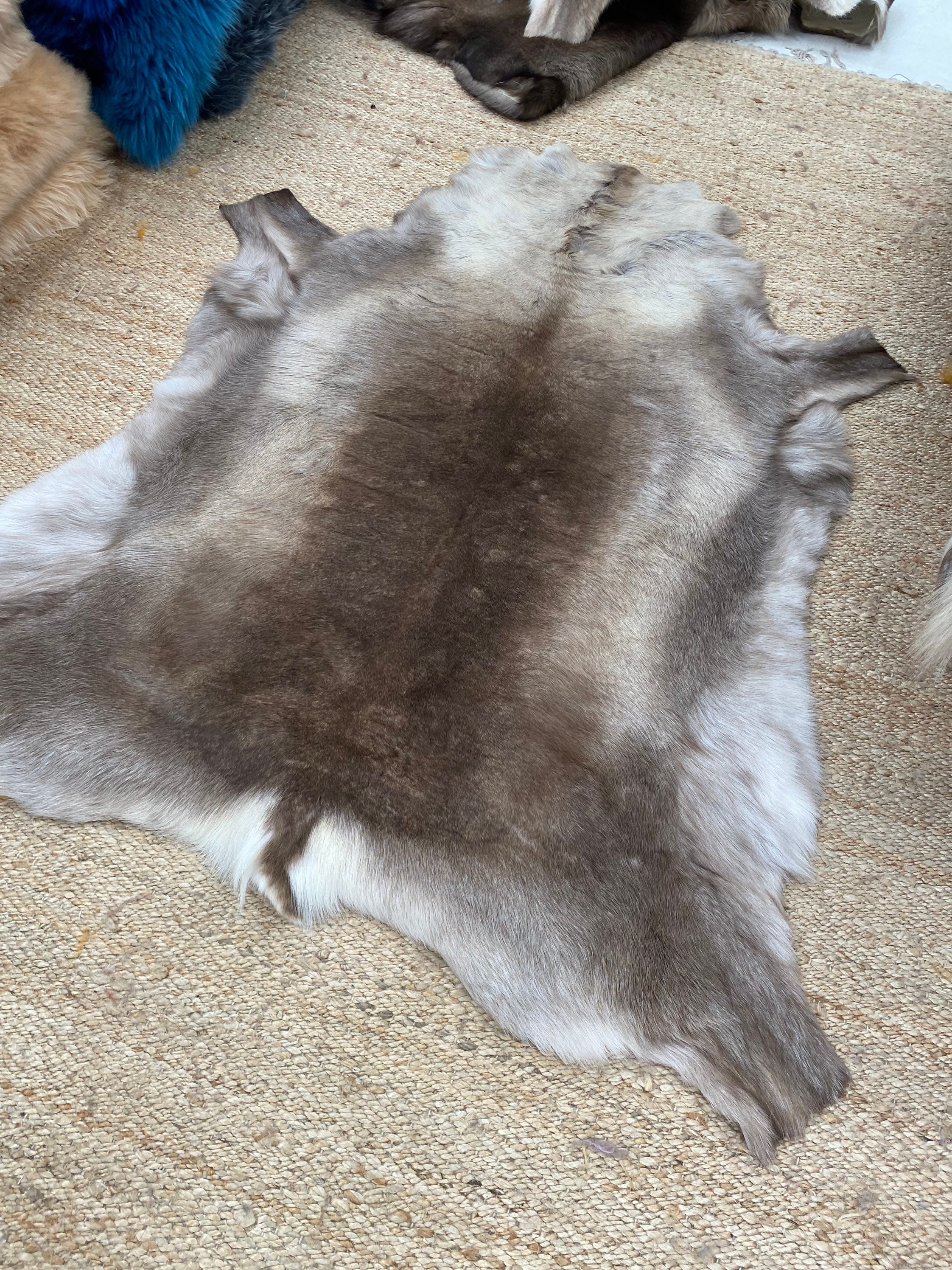 Reindeer Rug Genuine Luxury Eco Hide Nordic Decor - Etsy