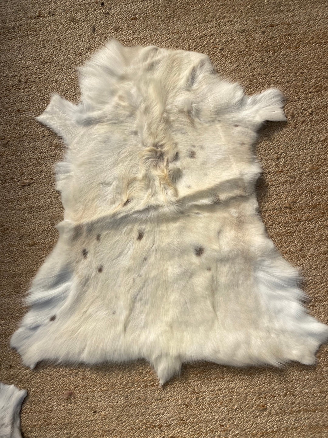 Reindeer Rug, Natural High Quality Hide, WHITE , RARE , Eco, Nordic ...