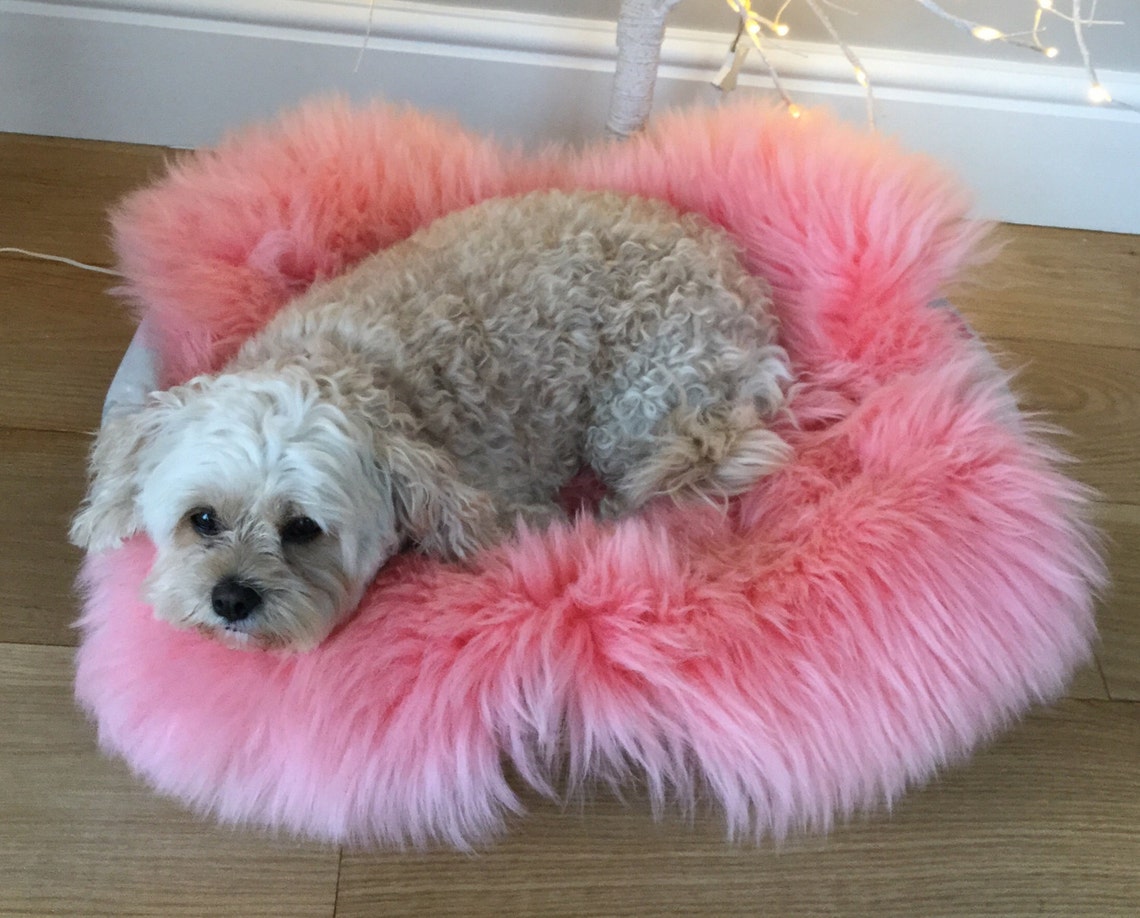 Luxury Sheepskin Pet Bed Liner, Rose Pink - Etsy