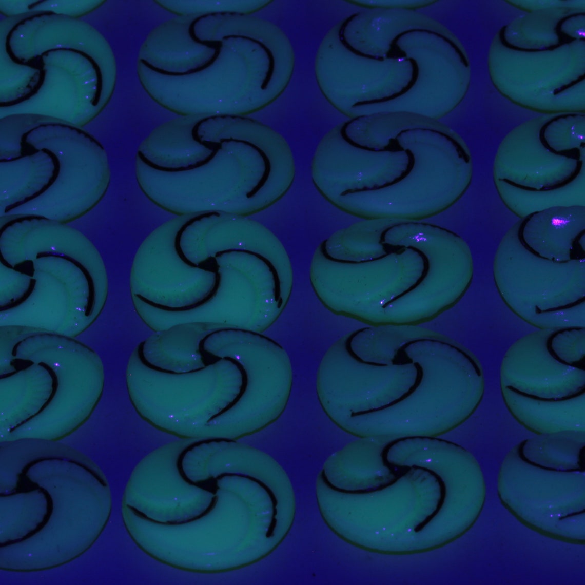 Card Vintage Czech 1920's Hand Painted White Uranium - Etsy