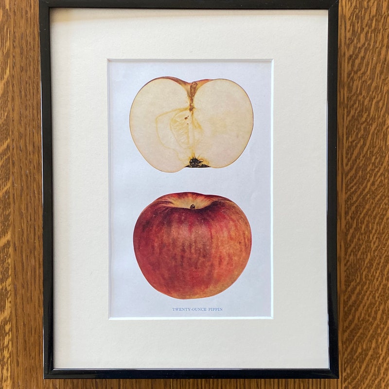 Apple Print - Etsy