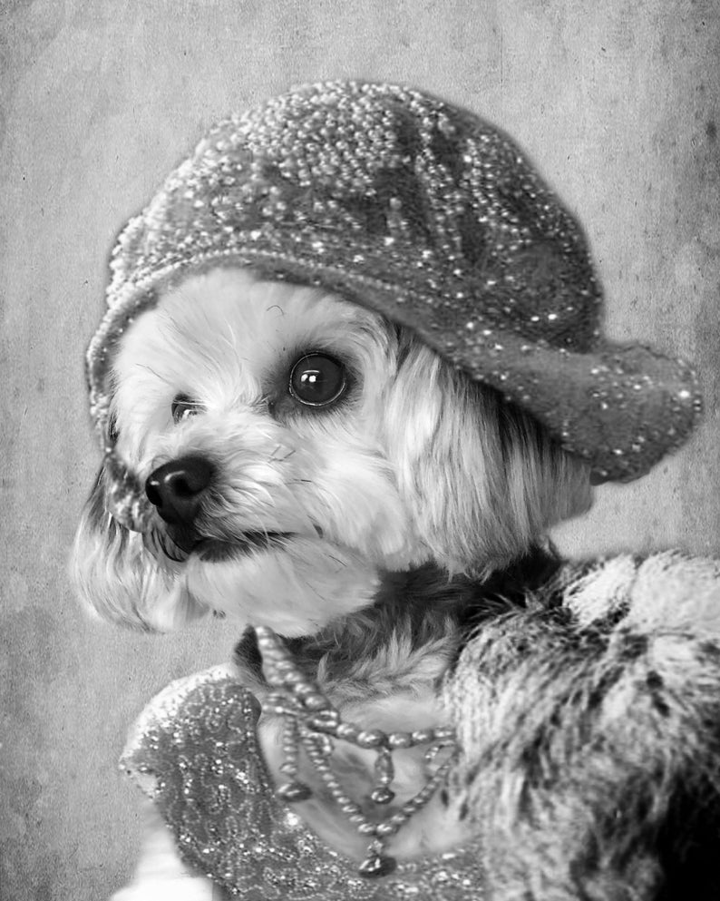 Quirky Victorian Pet Portraits - Etsy