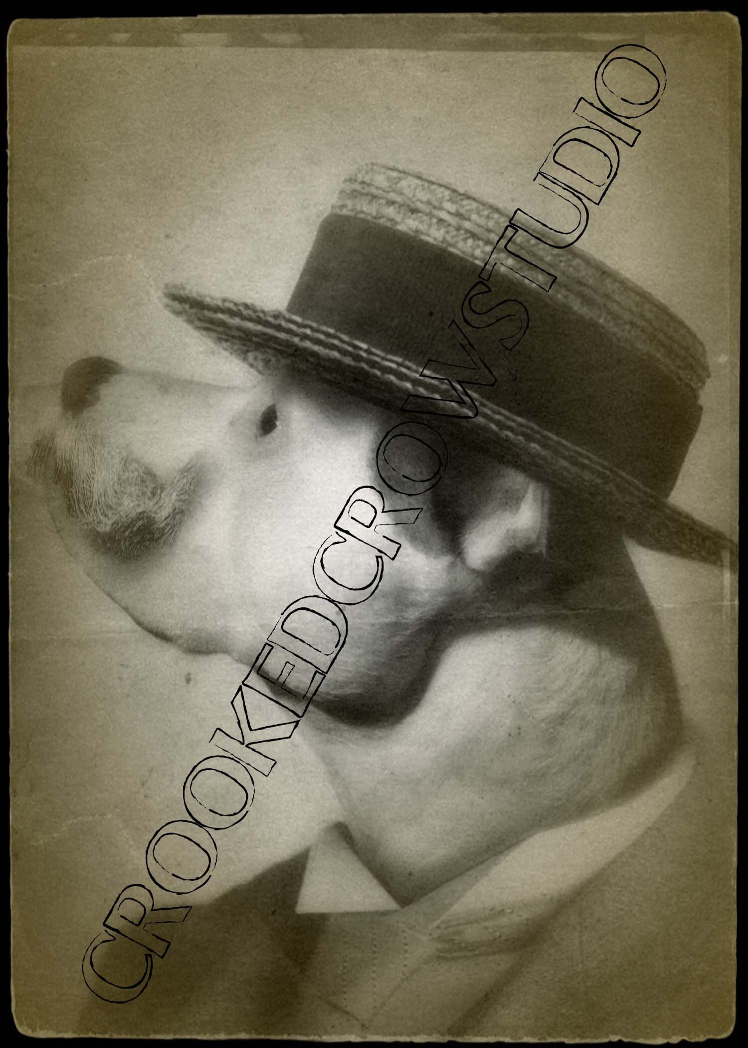 Quirky Victorian Pet Portraits - Etsy